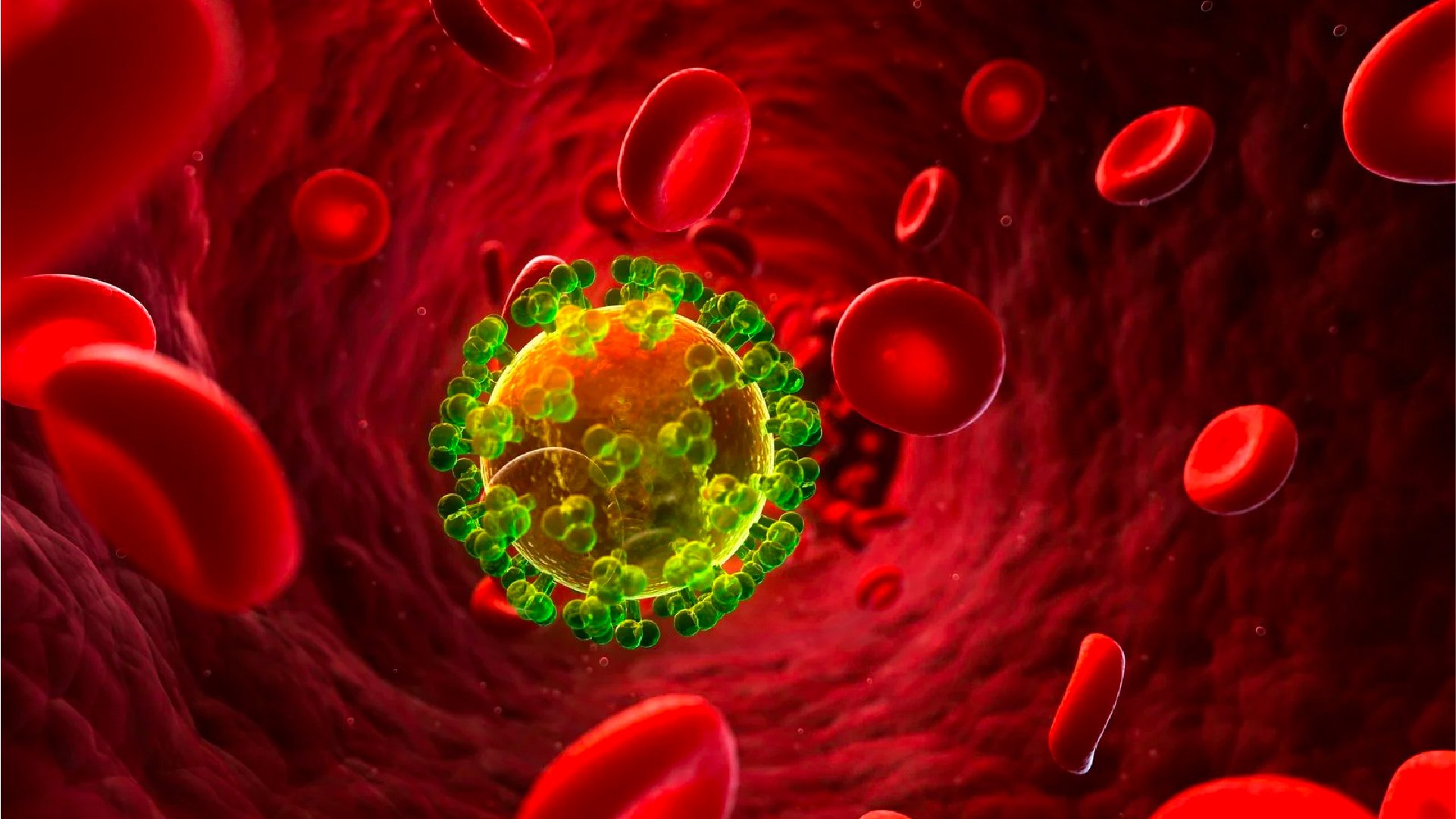 Common Opportunistic Infections when you living with HIV - Glink English